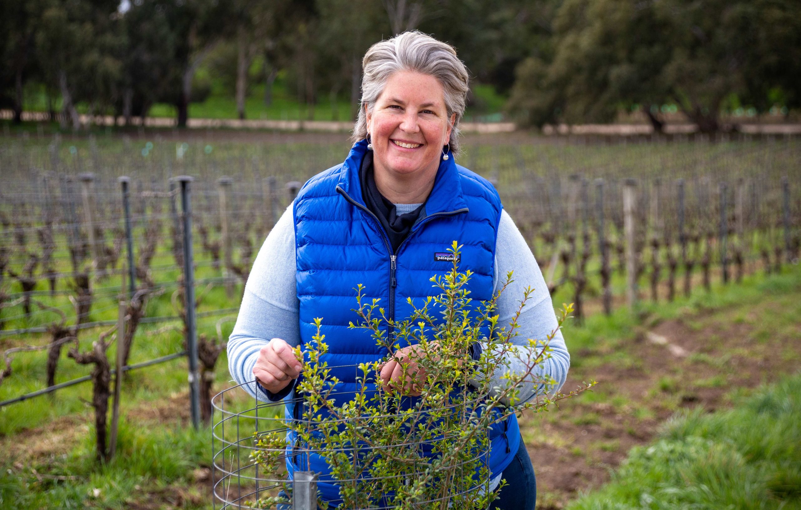 Dr Mary Retallack – Food & Beverage Development Fund SA